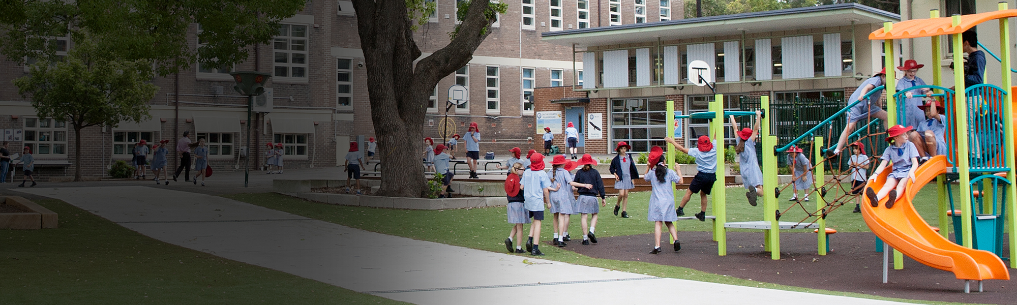 NEW Enmore STPCPS banner NEWS AND EVENTS | St Pius’Catholic Primary ...